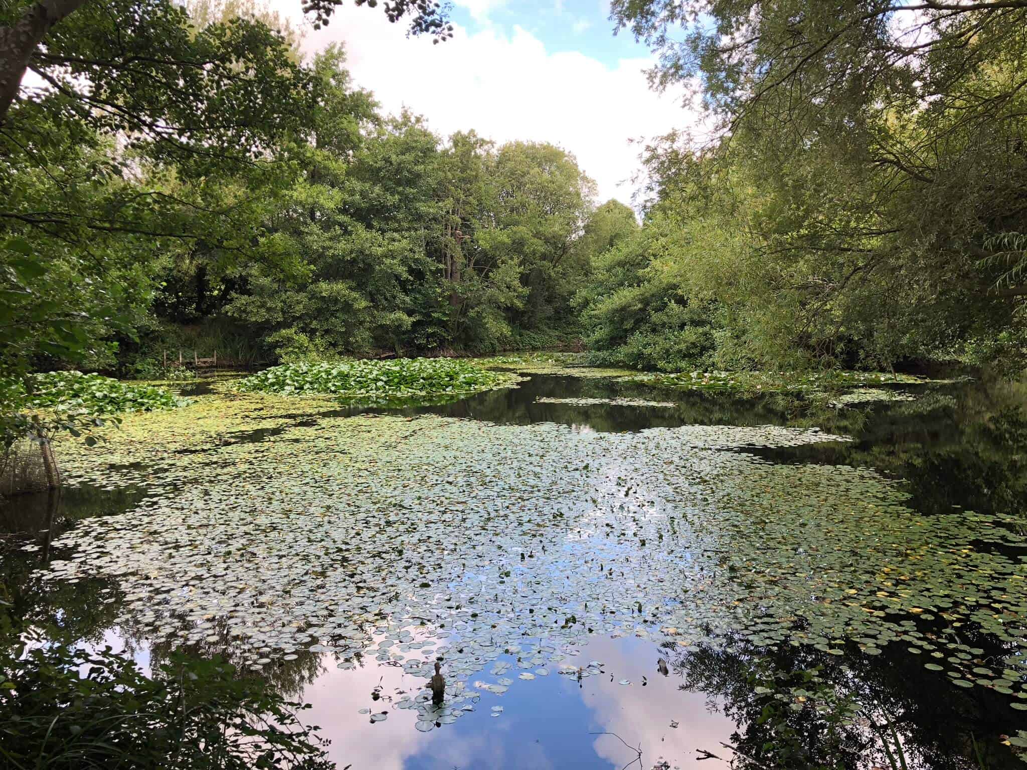 Rehab Clinic Gloucester - Gloucestershire Alcohol & Drug Addiction ...