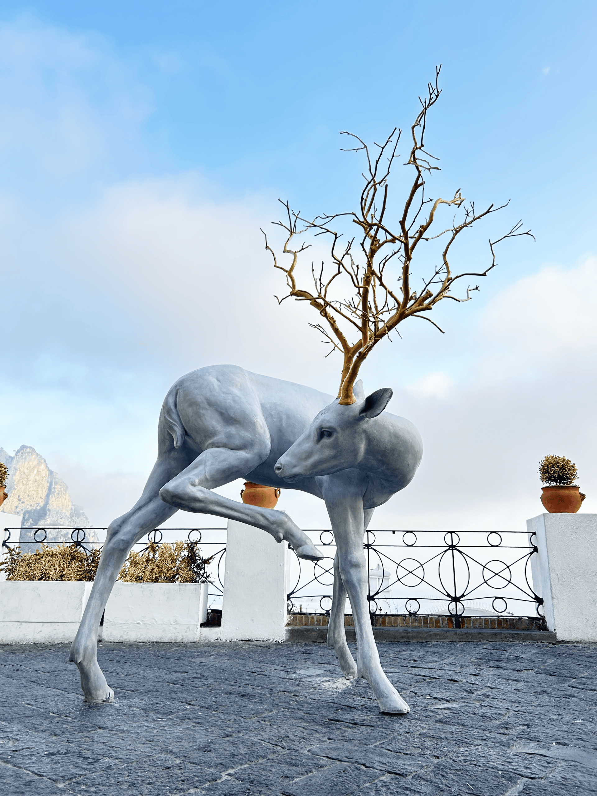 Forest Guardian in Capri - Liquid art system