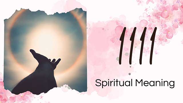 Why Do I Keep Seeing The Number 1111? Spiritual Significance | Spavelous