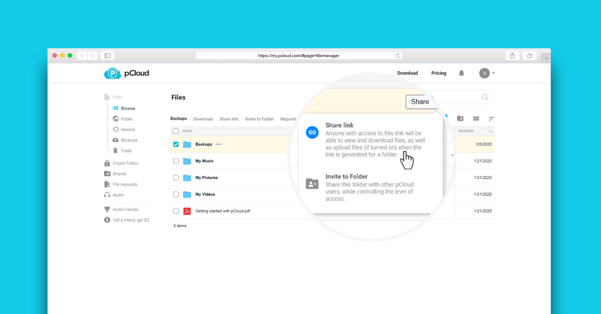 pCloud Review (2025): Why This is The Best Lifetime Cloud Storage Service? - MSB Digital
